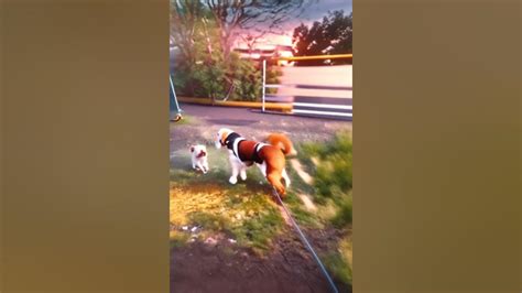 Video Was Created In Runwayml Using Gen 1 Video To Video Youtube