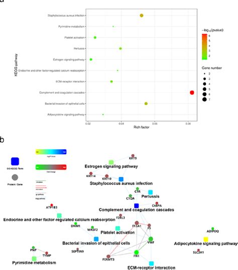 Figure 1 From Annals Of Clinical And Medical Case Reports Semantic Scholar