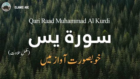 Surah Yasin Full Recitation By Raad Muhammad Al Kurdi سورۃ یس Youtube