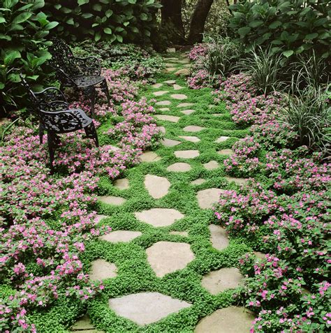 Cover Backyard Bald Spots With These Ground Cover Flowers Garden Inspiration Dream Garden