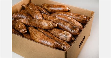 Higher Demand For Costa Rican Cassava In European Market