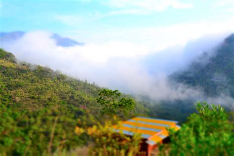 Motorcycle Diaries Ooty To Coonoor Through Bandipur National Park