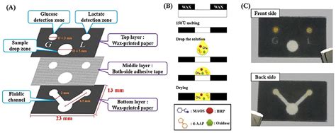Sensors Free Full Text Paper Based Sensors Emerging Themes And