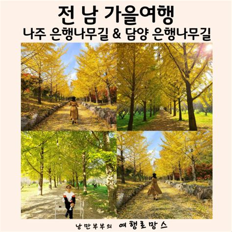 나주 여행 남평 은행나무길 나주은행나무수목원 Ggtpot 담양 은행나무길 전남 가을 여행지 추천 네이버 블로그
