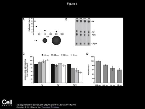 Volume 20 Issue 2 Pages February 2011 Ppt Download