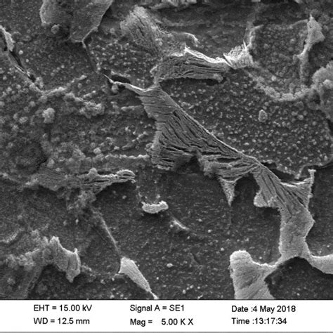Pdf Effect Of Carburization On Micro Structure Of Low Carbon Steel