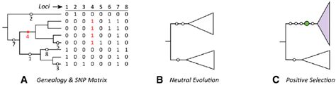 Figure 11 From Improvement On The Interpretability Of Convolutional