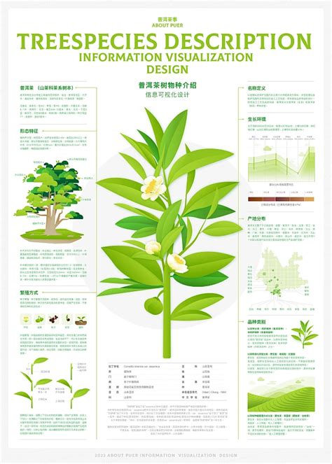 花瓣灵感详情页 花瓣网