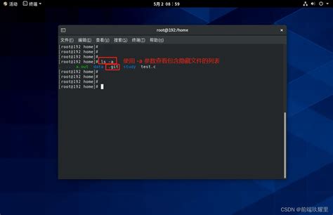 09 【linux教程】ls 查看文件和目录列表 阿里云开发者社区