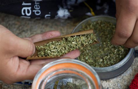 La Legalización Del Cannabis Medicinal Marihuana Medicinal