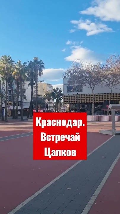 Кто цапок Мы все цапки Youtube