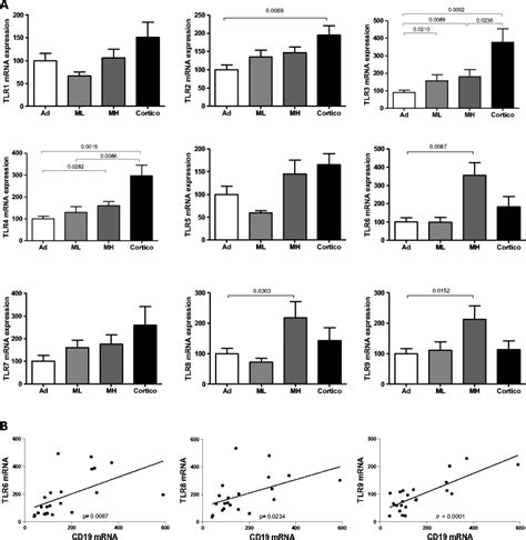 Analysis Of TLR MRNA Expression In The Thymus Of MG Patients Thymic