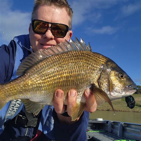 Australian Bream Results 2022 Reel It In