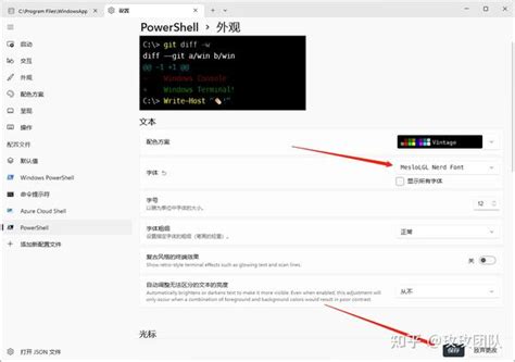 打造一个漂亮的windows Powershell终端窗口（1） 知乎