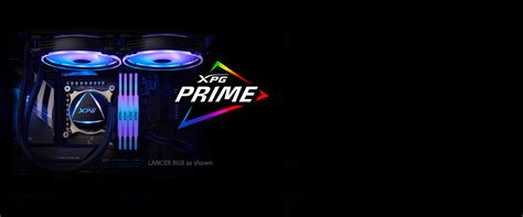 Buy Adata XPG Lancer RGB ROG Certified 48GB 24GBx2 DDR5 7200MHz Desktop Ram Computech Store