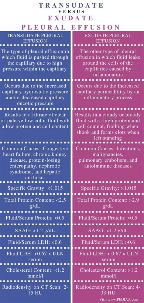 Difference Between Transudate And Exudate Pleural Effusion