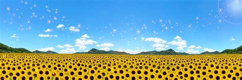「夏の風物詩」の画像 68 047 件の Stock 写真、ベクターおよびビデオ Adobe Stock