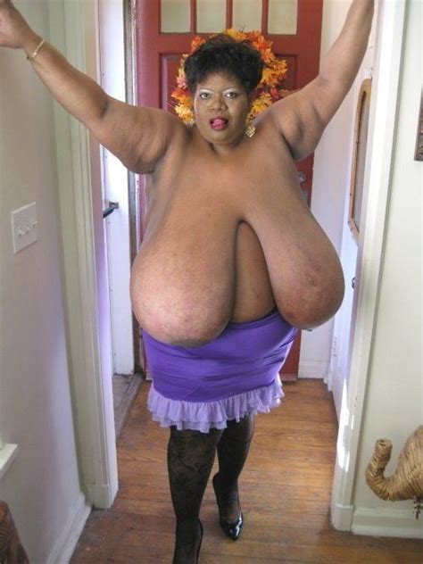 Norma Stitz Big Giant Titts Porn Pictures Xxx Photos Sex Images