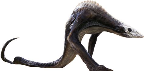 Skullcrawler Multiversology Wiki Fandom