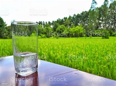 물 한 잔 나무 테이블에 배치 됩니다 0명에 대한 스톡 사진 및 기타 이미지 0명 건강한 생활방식 깨끗한 Istock
