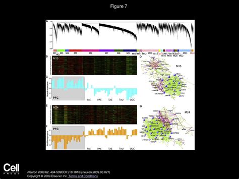 Volume Issue Pages May Ppt Download