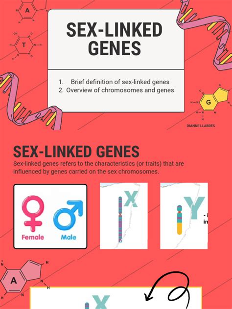 Sex Linked Inheritance Pdf