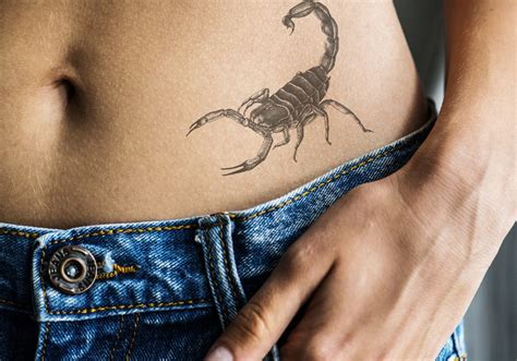 Scorpion Symbolism And Meaning Totem Spirit And Omens World Birds