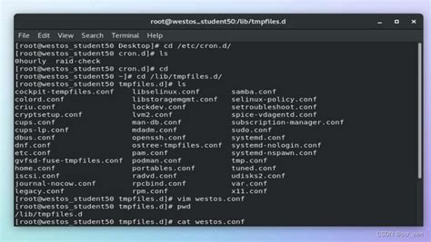 （24）系统延时任务及定时任务 Csdn博客