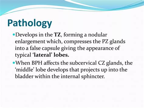 Benign Prostate Hyperplasia Ppt