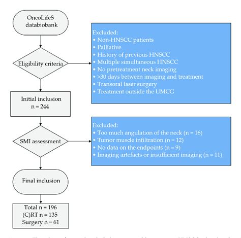 Flowchart Of In And Excluded Patients Abbreviations Hnscc Head And