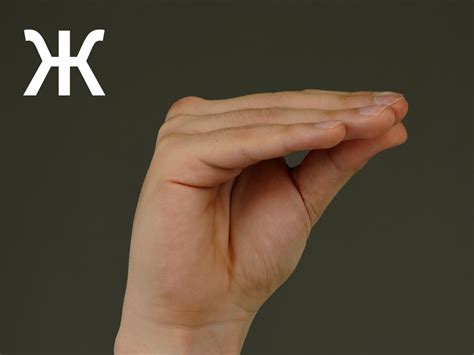 Ж Монгол дохионы хэл