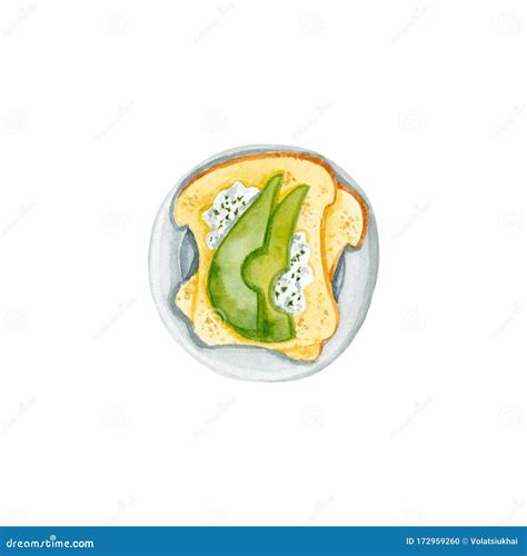 Watercolor Toast With Avocado Illustration Isolated On White Hand