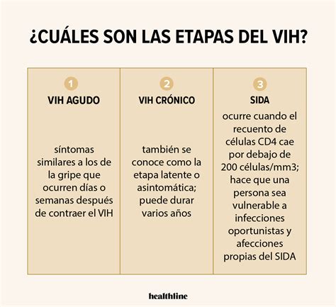 Cómo El Vih Afecta El Cuerpo Transmisión Progresión Y Más