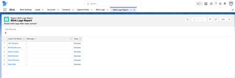 Mass Convert Leads In Salesforce Blink