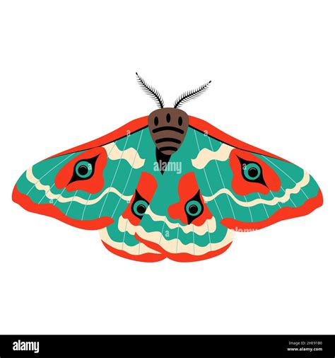 Butterfly Vector Illustration Clipart Cute Butterfly Isolated Stock