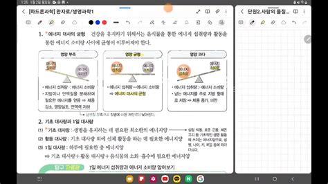 내용생명과학1단원2 1사람의 물질대사02물질대사와 건강 Youtube