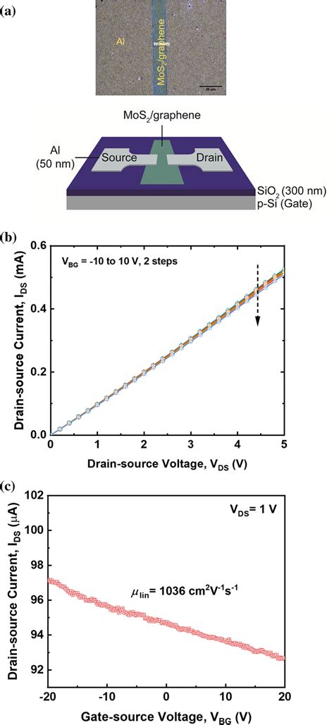 a illustration and optical image of fabricated fl mos2 ml graphene fet
