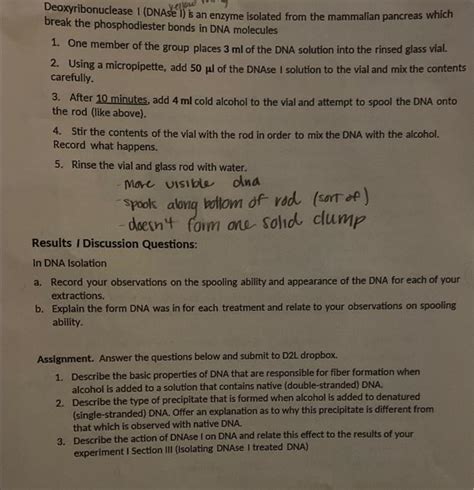 Solved Macromolecules Such As Dna Rna And Protein Are Not