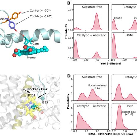 Synergistic Functioning Of Three Binding Modes A Two Conformations