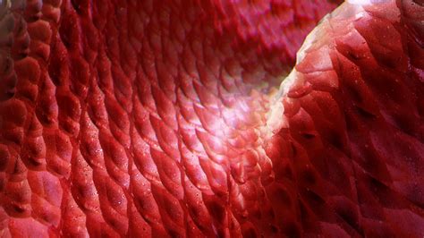 material testing u render cinema 4d r 3dmodeling