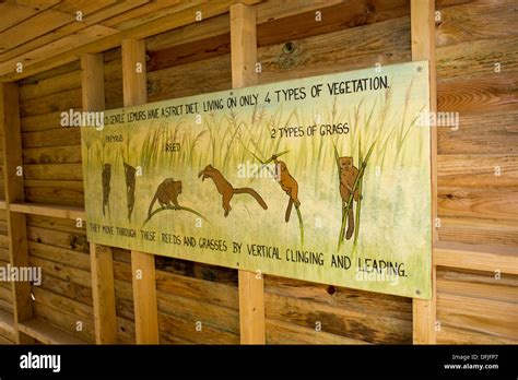 Durrell Wildlife Conservation Trust Stock Photo Alamy