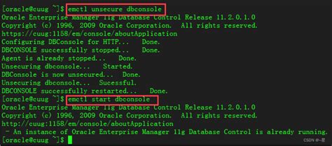 oracle11gr2安装 oracle11gr2安装教程 csdn博客