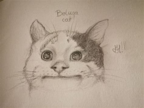 Beluga Cat Drawing