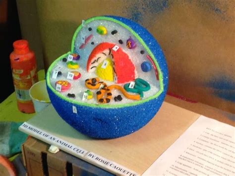 Plant Cell Model Styrofoam Ball