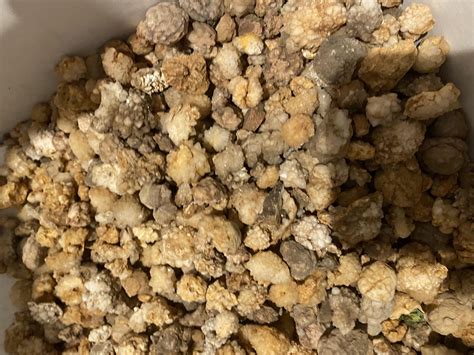 Box Full Of Small Geodes Mineralporn
