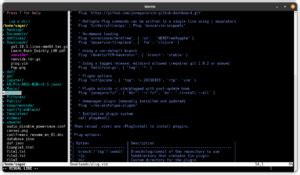 Neovim Gui Editors You Could Try If You Are Not A Total Terminal Junkie