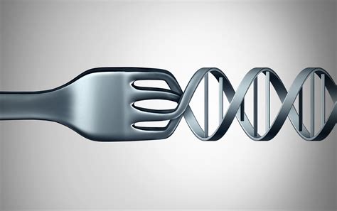 Fathers Diet How Mens Nutrition Affects Offspring Health