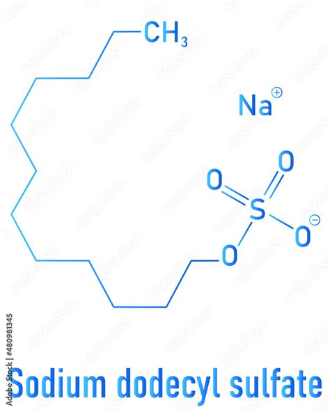 Sodium Dodecyl Sulfate Or Sds Sodium Lauryl Sulfate Surfactant
