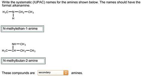 Solved Write The Systematic Iupac Names For The Amines Shown Below The Names Should Have The