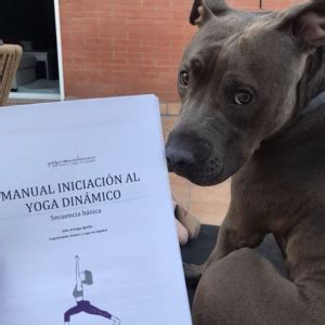 Manual de Iniciación al Yoga Dinámico Yoguineando Clases de yoga